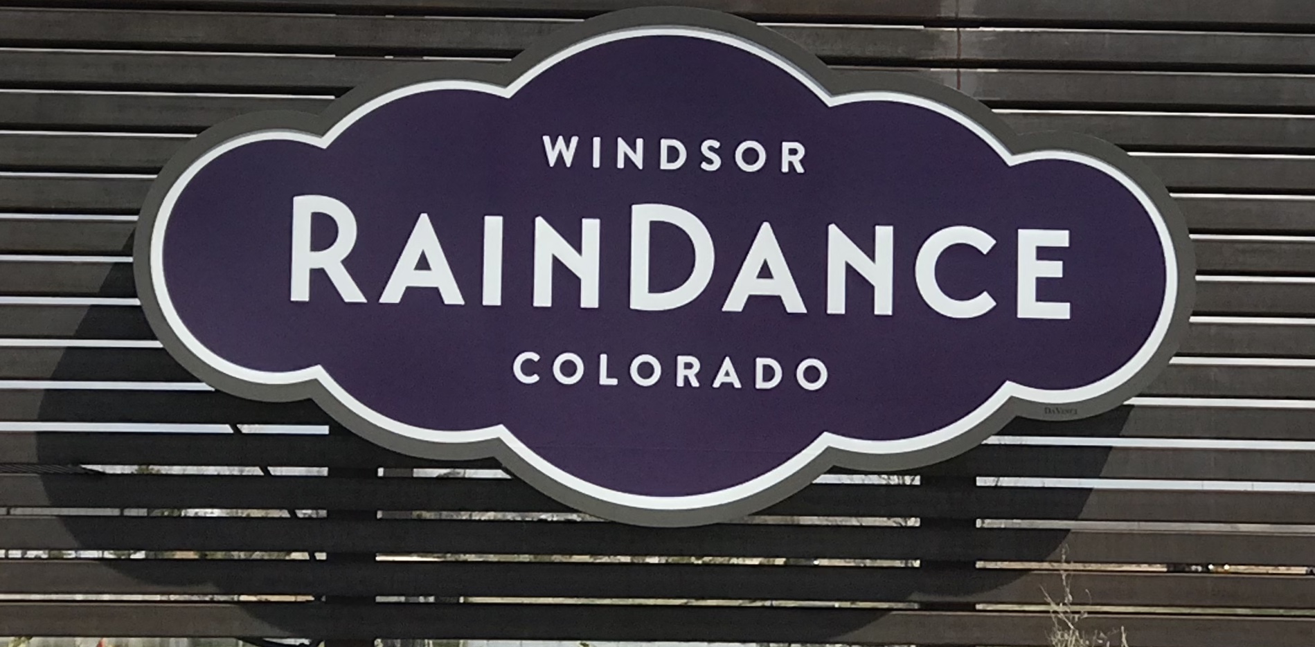 Raindance Logo